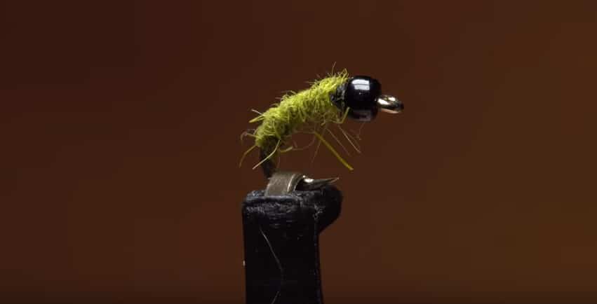 Fly Baits Micro Caddis Larva