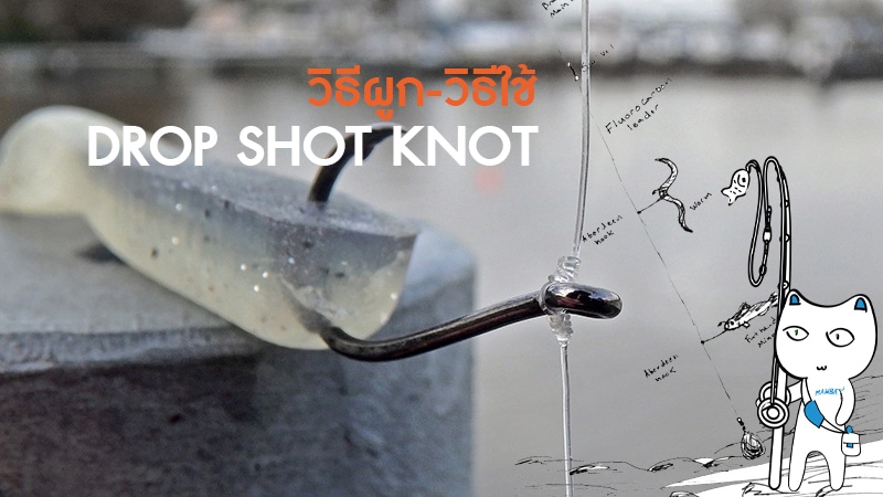วิธีผูกเงื่อน Drop Shot นำไปใช้งานได้หลากหลาย
